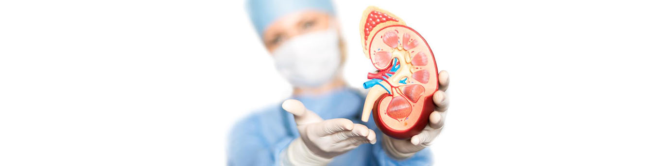 How Getting a Kidney Transplant Can Change Your Life | Sanar ...